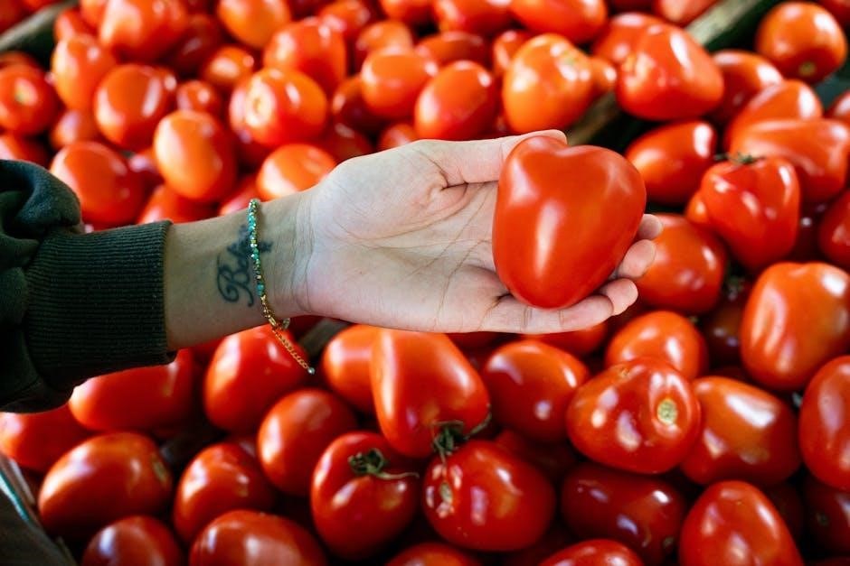 Lost Your FiiO BTR3 Manual? We've Got You Covered! (and maybe some tunes)