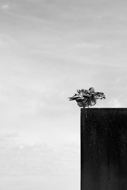 Healthcare Manual Handling Training | Australia - Take Daryum